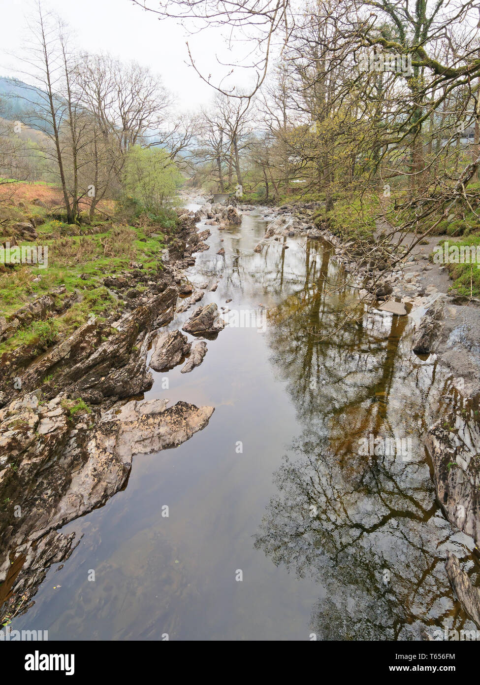 On a misty day in April the crystal clear water of the River Mawddach ...