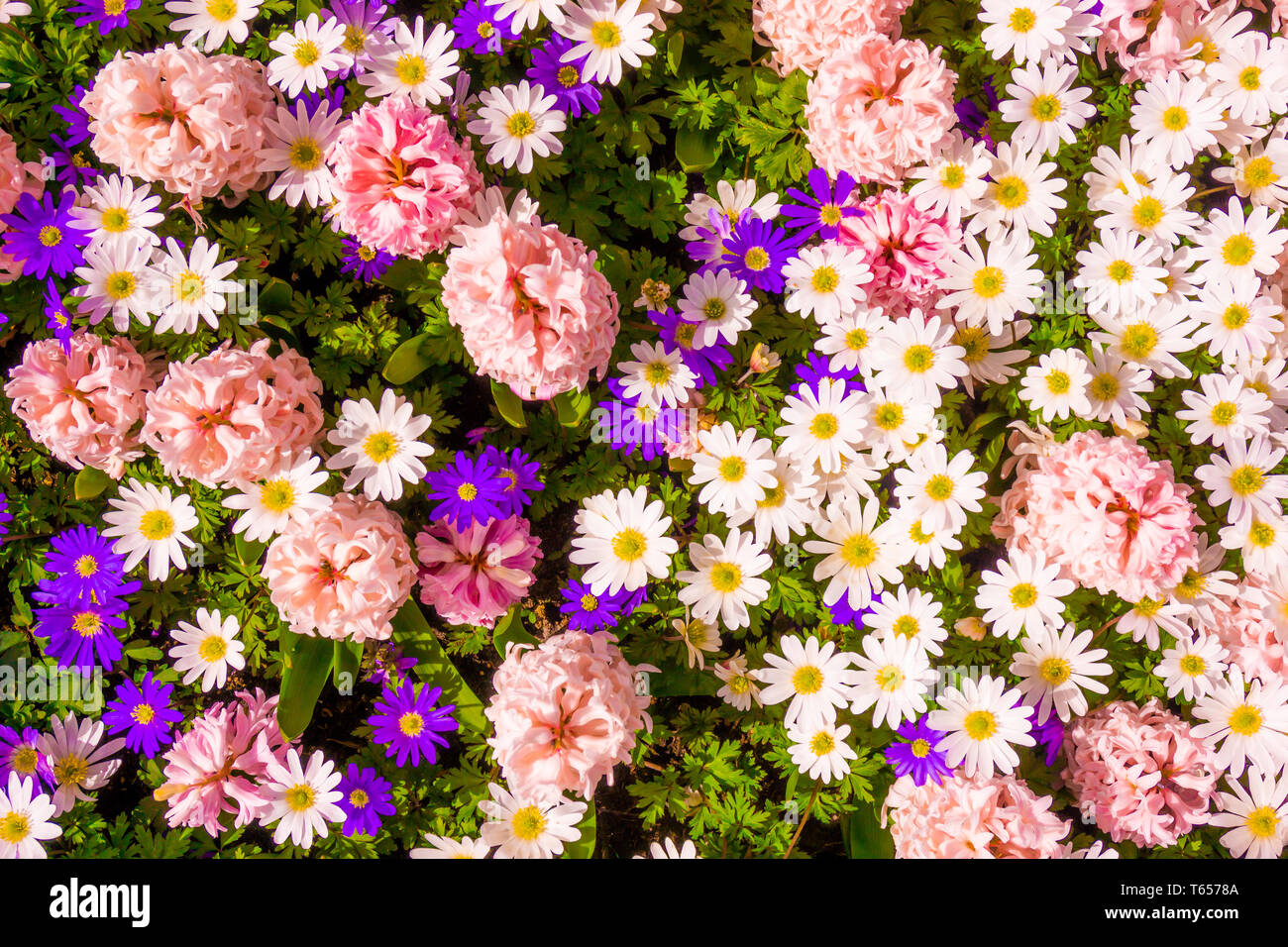 Different flowers. Floral decorated wall background Stock Photo - Alamy