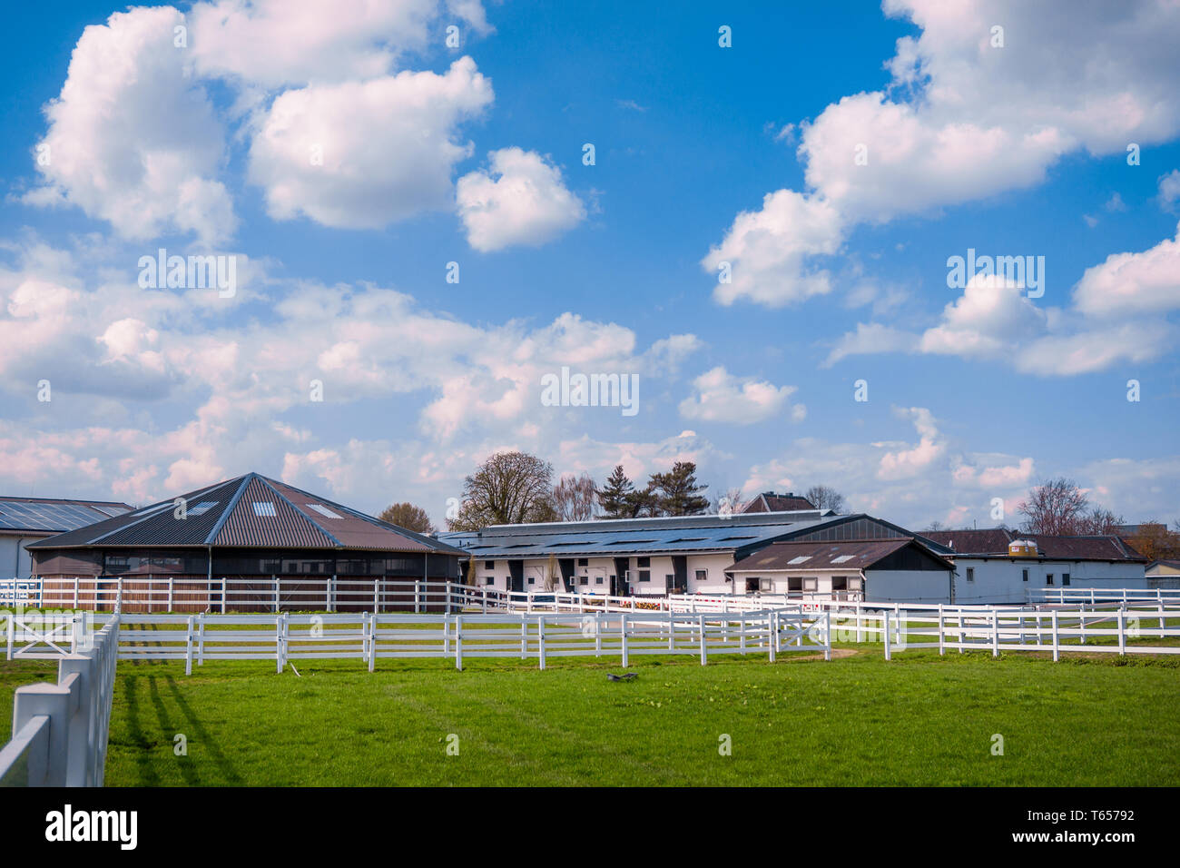 Green pastures of horse farms. Country summer landscape Stock Photo - Alamy