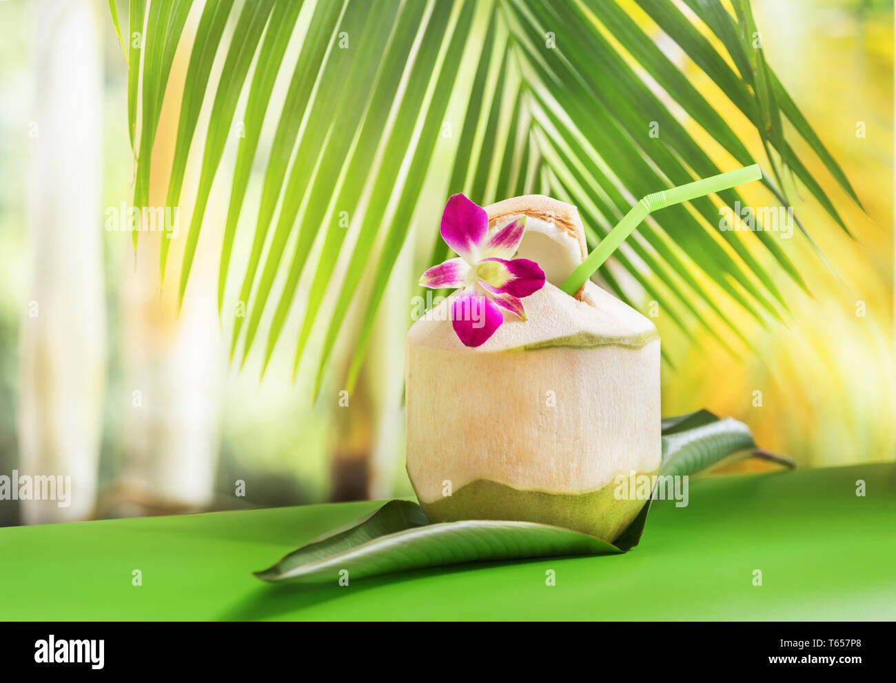 Tropical exotic fresh green coconut water drink near palm with orchid ...