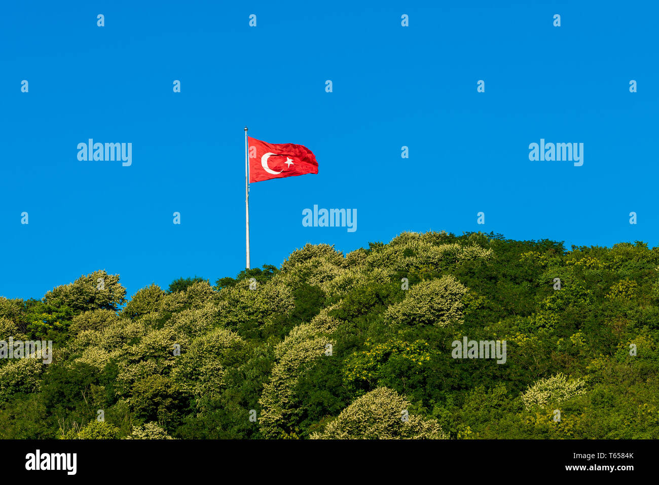 Turkey flag green hi-res stock photography and images - Alamy