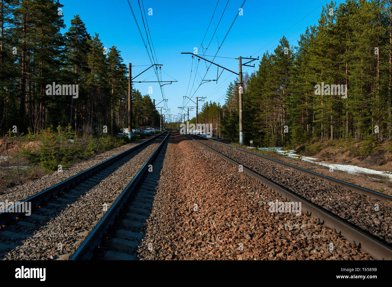 empty two way railroad throw the forest in spring Stock Photo - Alamy