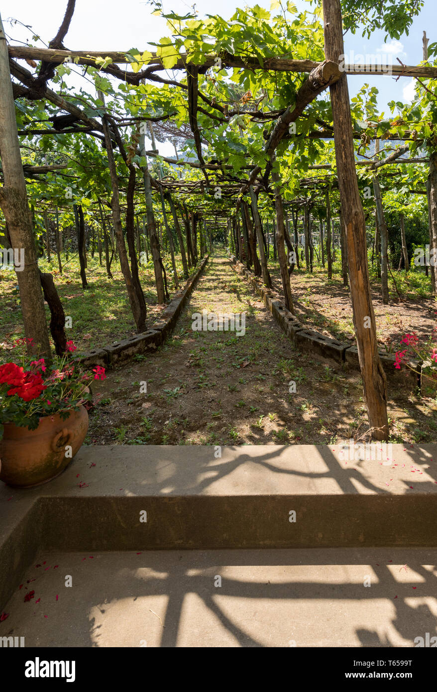 Pergola in the italian garden hi-res stock photography and images - Alamy
