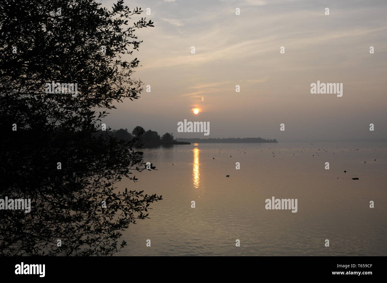 Lake chiemsee, Bavaria, Germany Stock Photo - Alamy