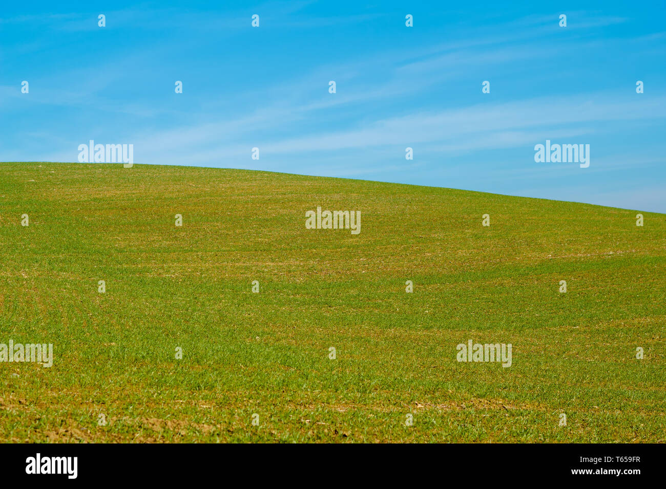 Blue sky nice weather hi-res stock photography and images - Alamy