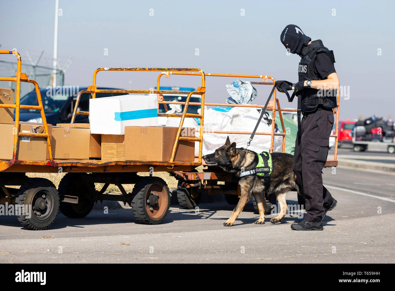 Customs and border protection officer and Drug enforcement ...