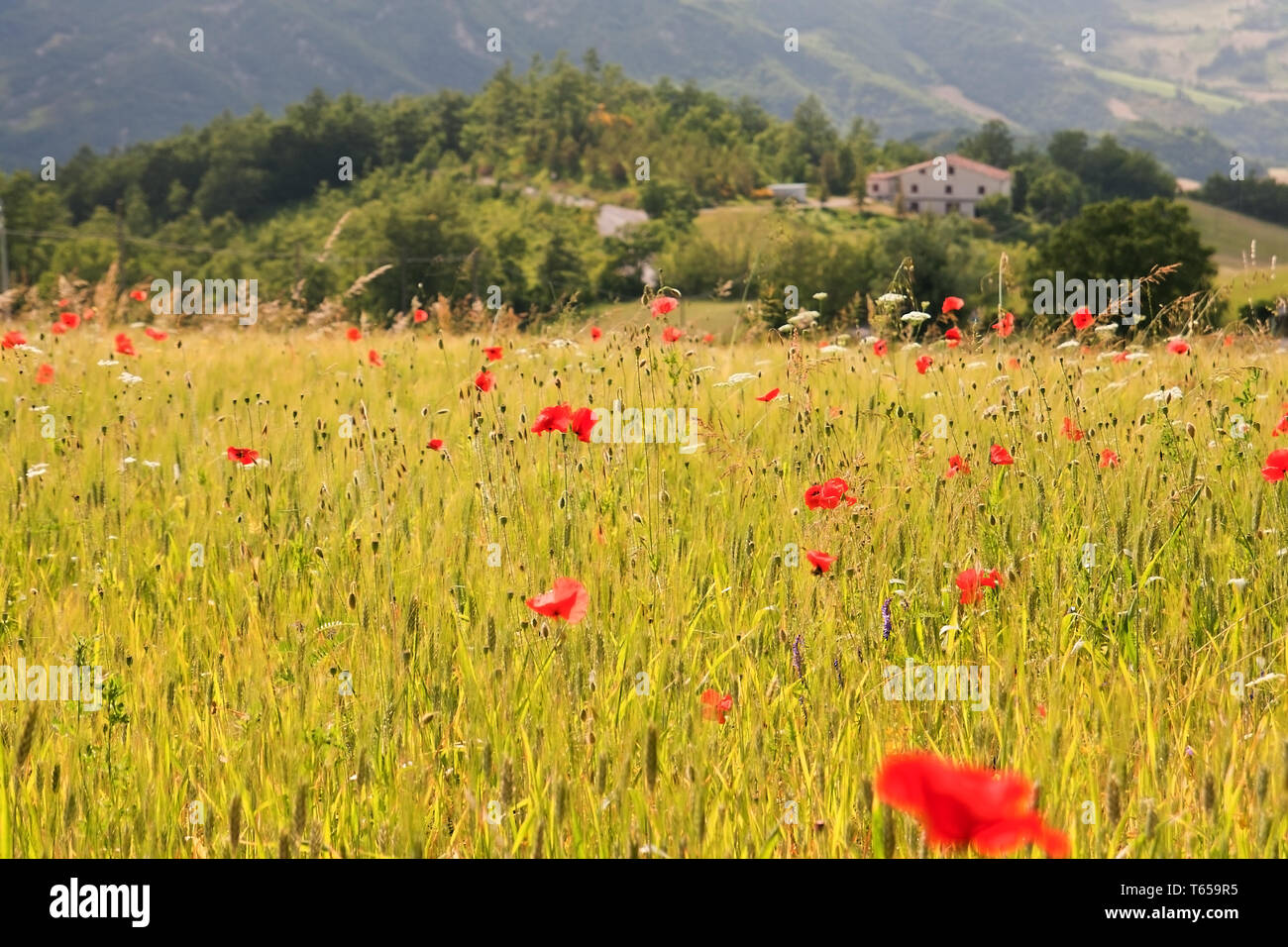 The marches holidays hi-res stock photography and images - Alamy