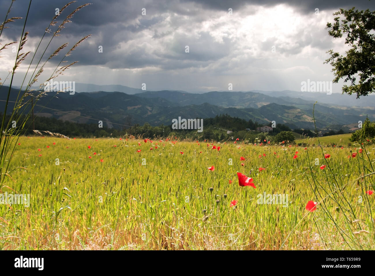 The marches holidays hi-res stock photography and images - Alamy