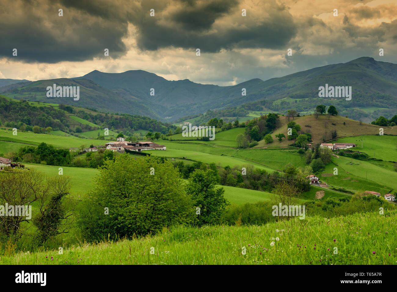 landscape of Pays Basque, Green hills. French countryside in the ...