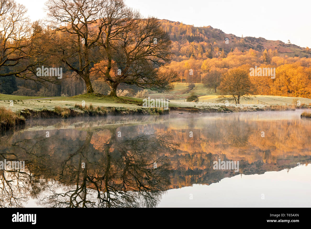 A misty morning on the River Brathay near Elterwater in the Lake ...
