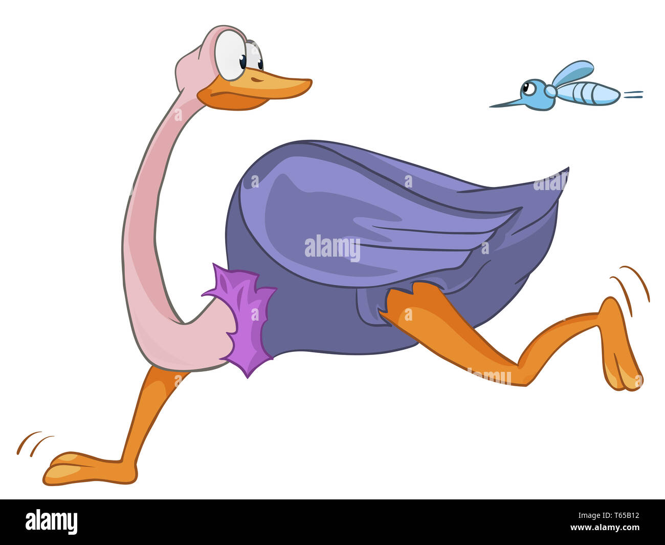Ostrich cartoon hi-res stock photography and images - Alamy