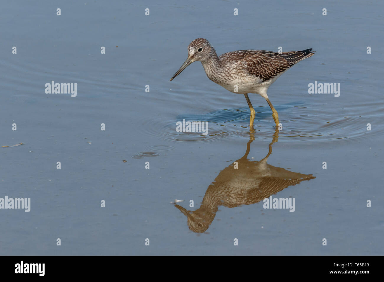 6 dams hi-res stock photography and images - Alamy