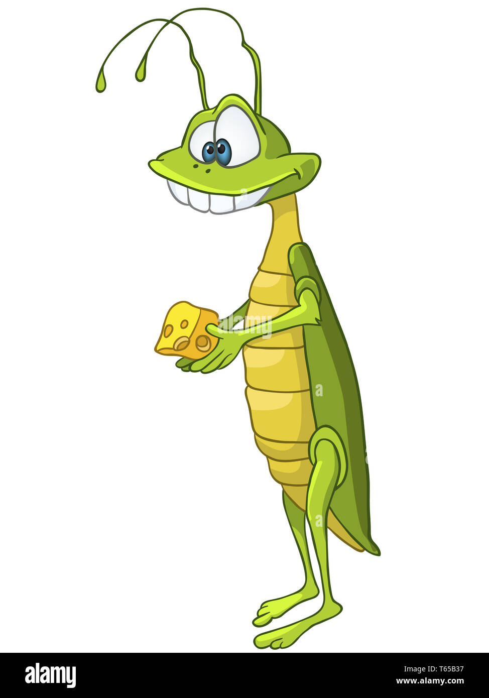 Locust cartoon illustration hi-res stock photography and images - Alamy