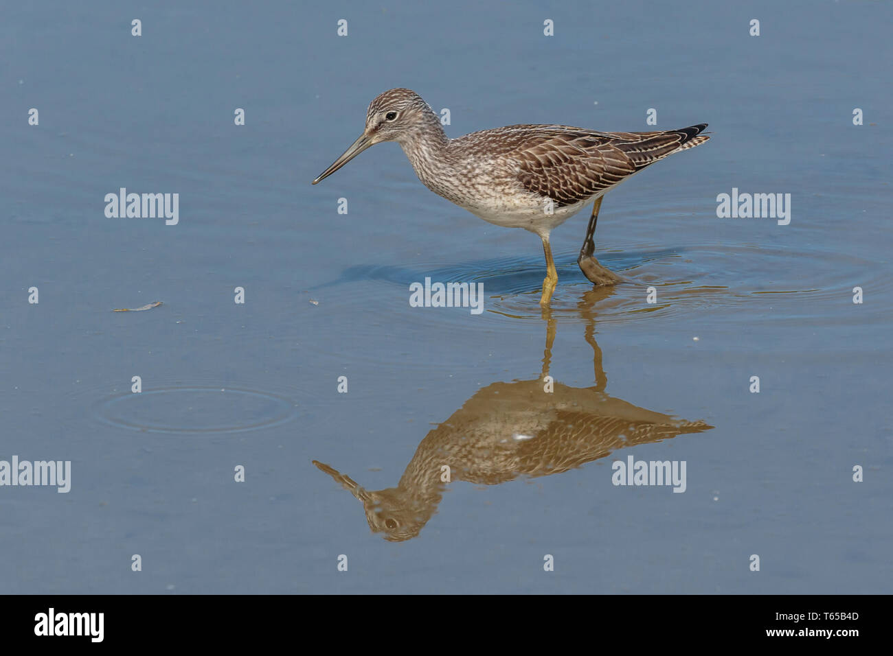 Filey dams hi-res stock photography and images - Alamy