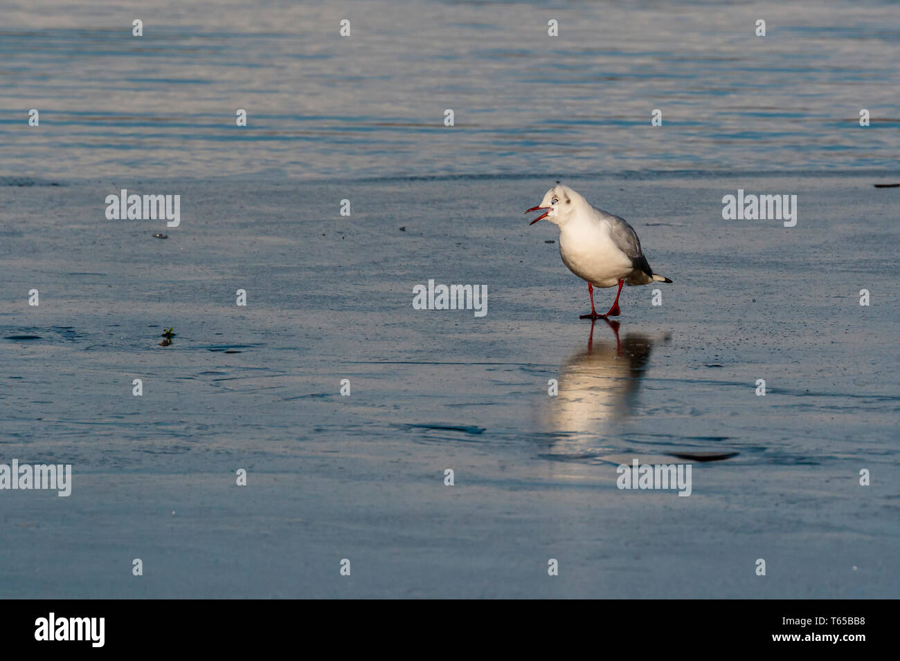 Filey dams hi-res stock photography and images - Alamy