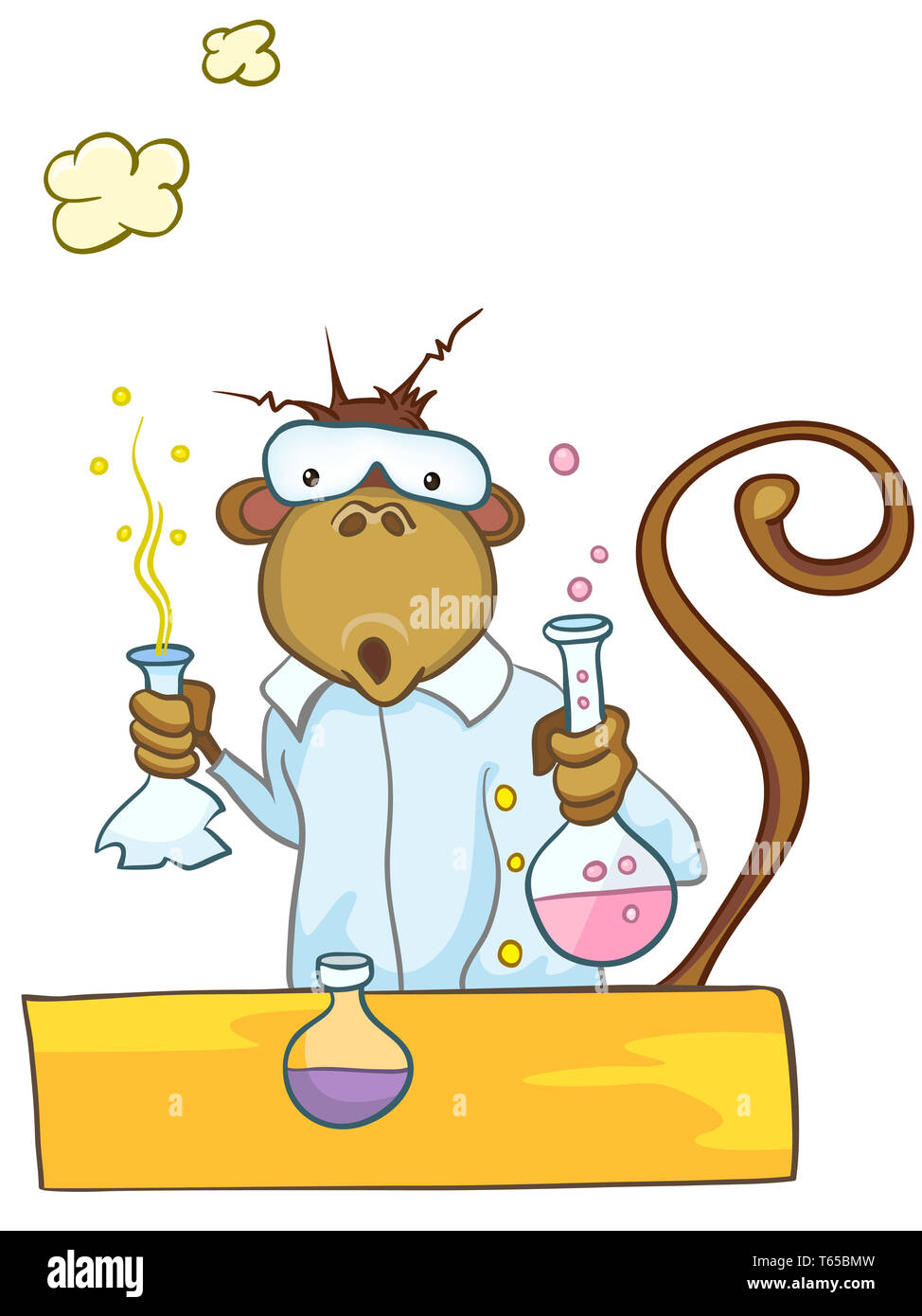 Monkey test hi-res stock photography and images - Alamy