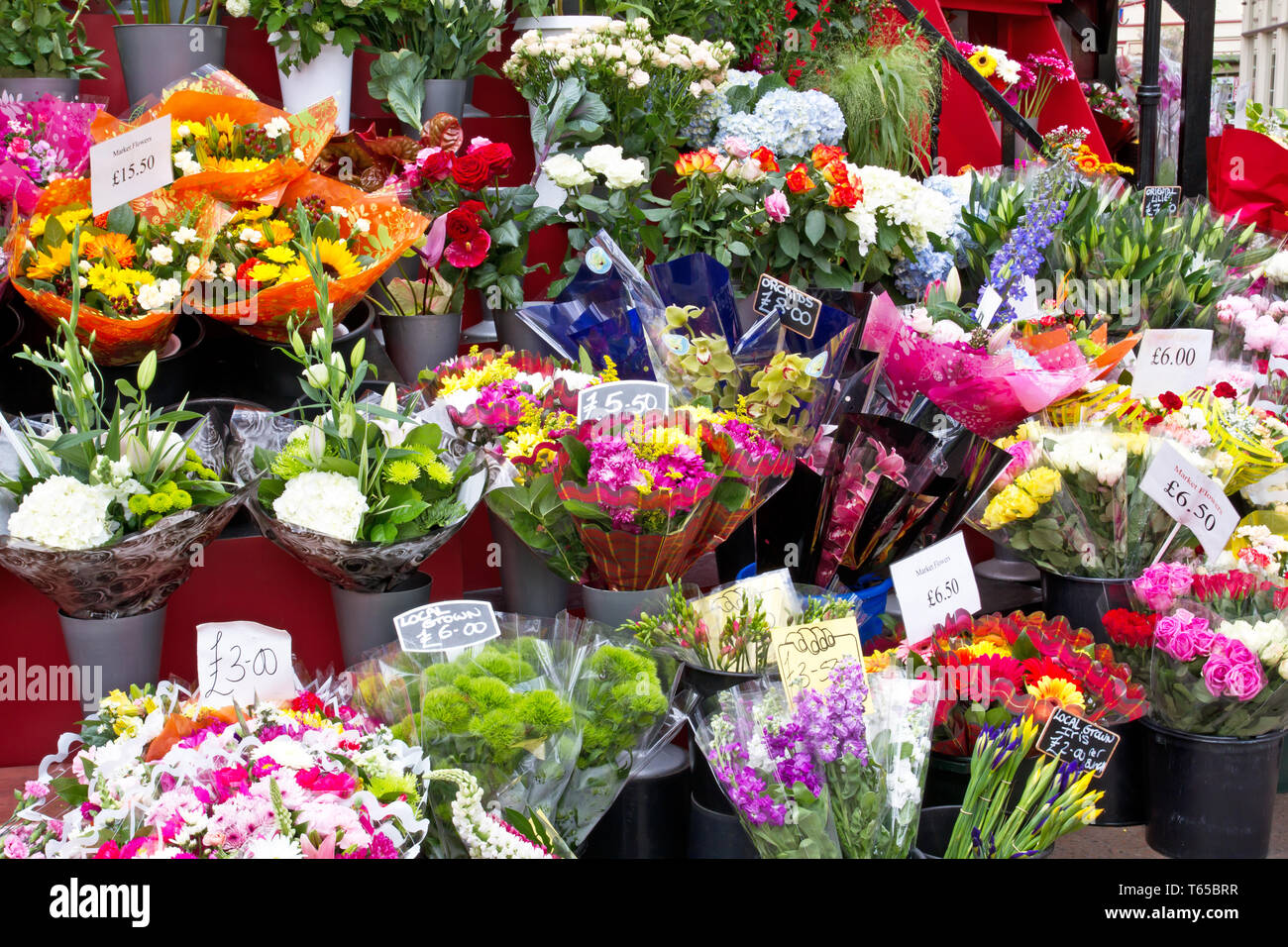 German flowers hi-res stock photography and images - Alamy