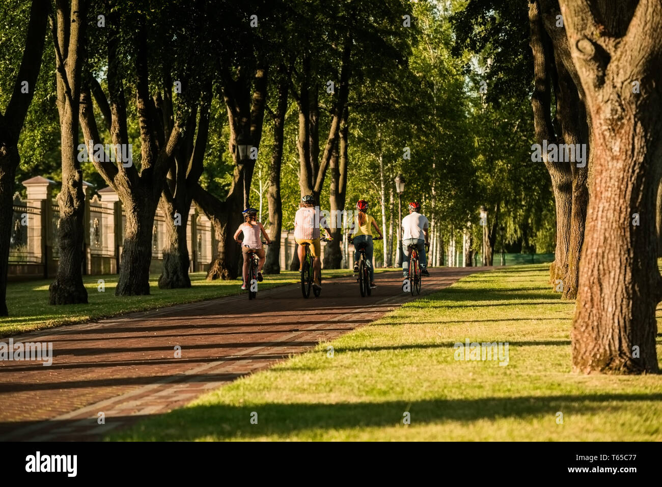 People cycling in summer park, back view Stock Photo - Alamy