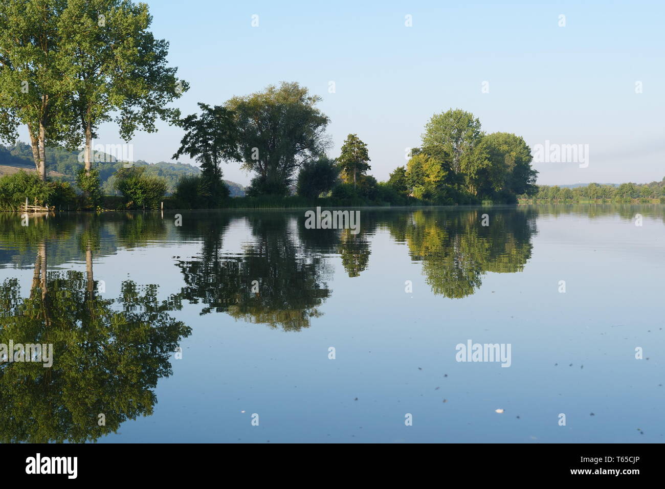 River thames trees hi-res stock photography and images - Alamy