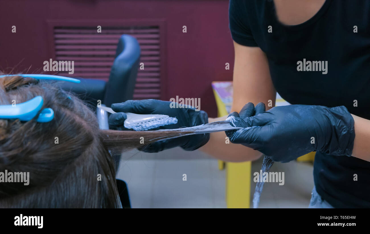Professional hairdresser coloring hair of woman client at studio Stock ...