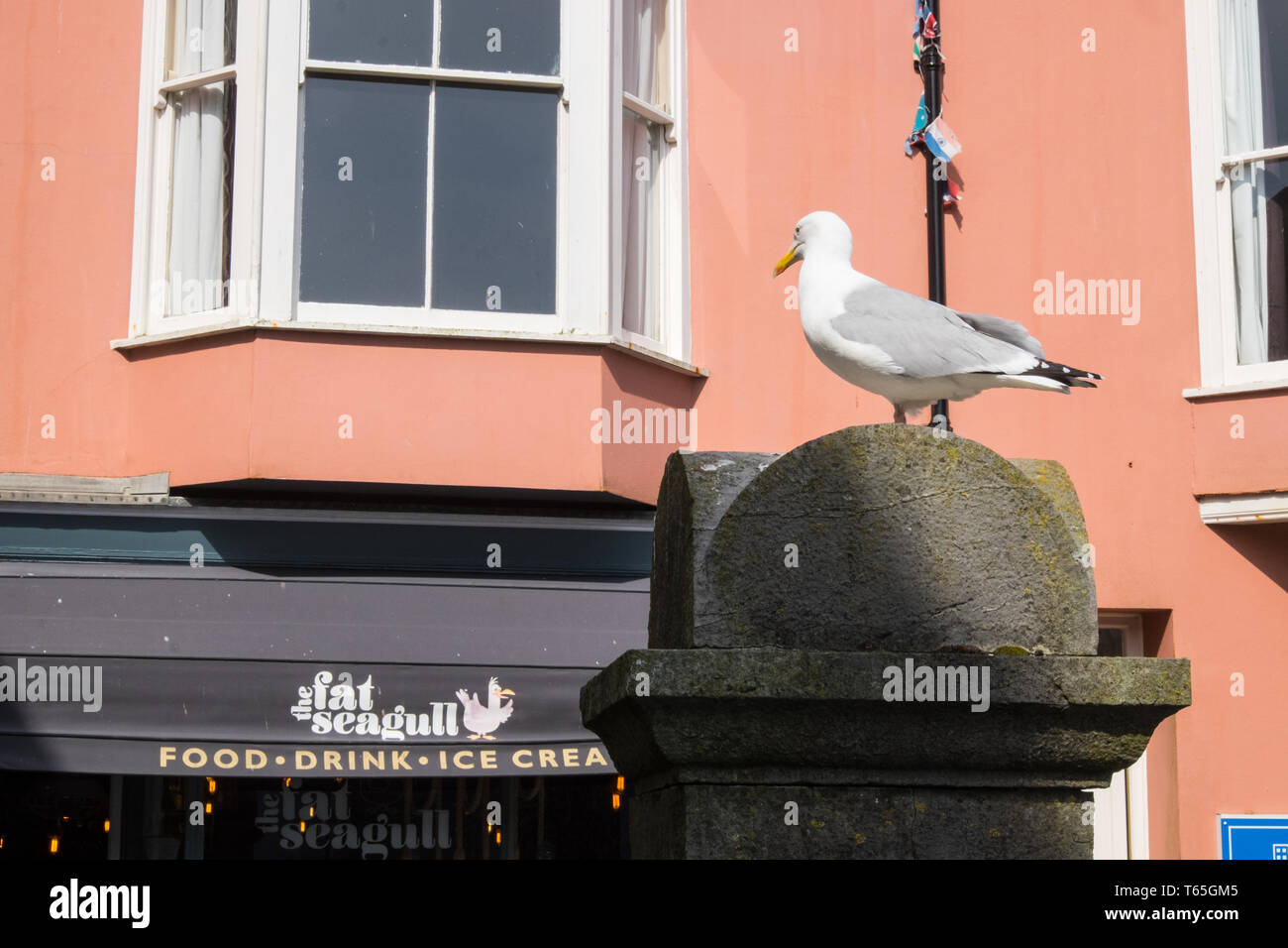Fat seagull cafe hi-res stock photography and images - Alamy