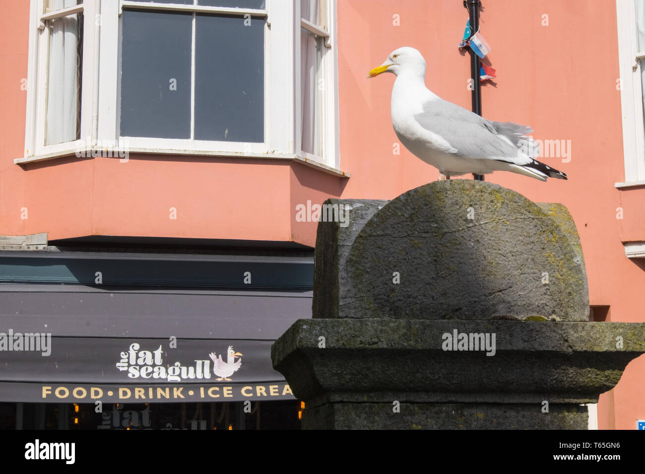 Fat seagull cafe hi-res stock photography and images - Alamy