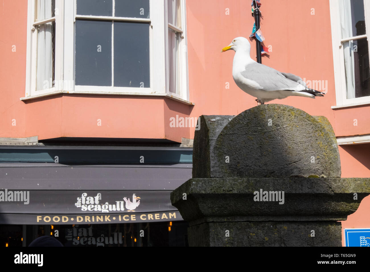 Fat seagull cafe hi-res stock photography and images - Alamy