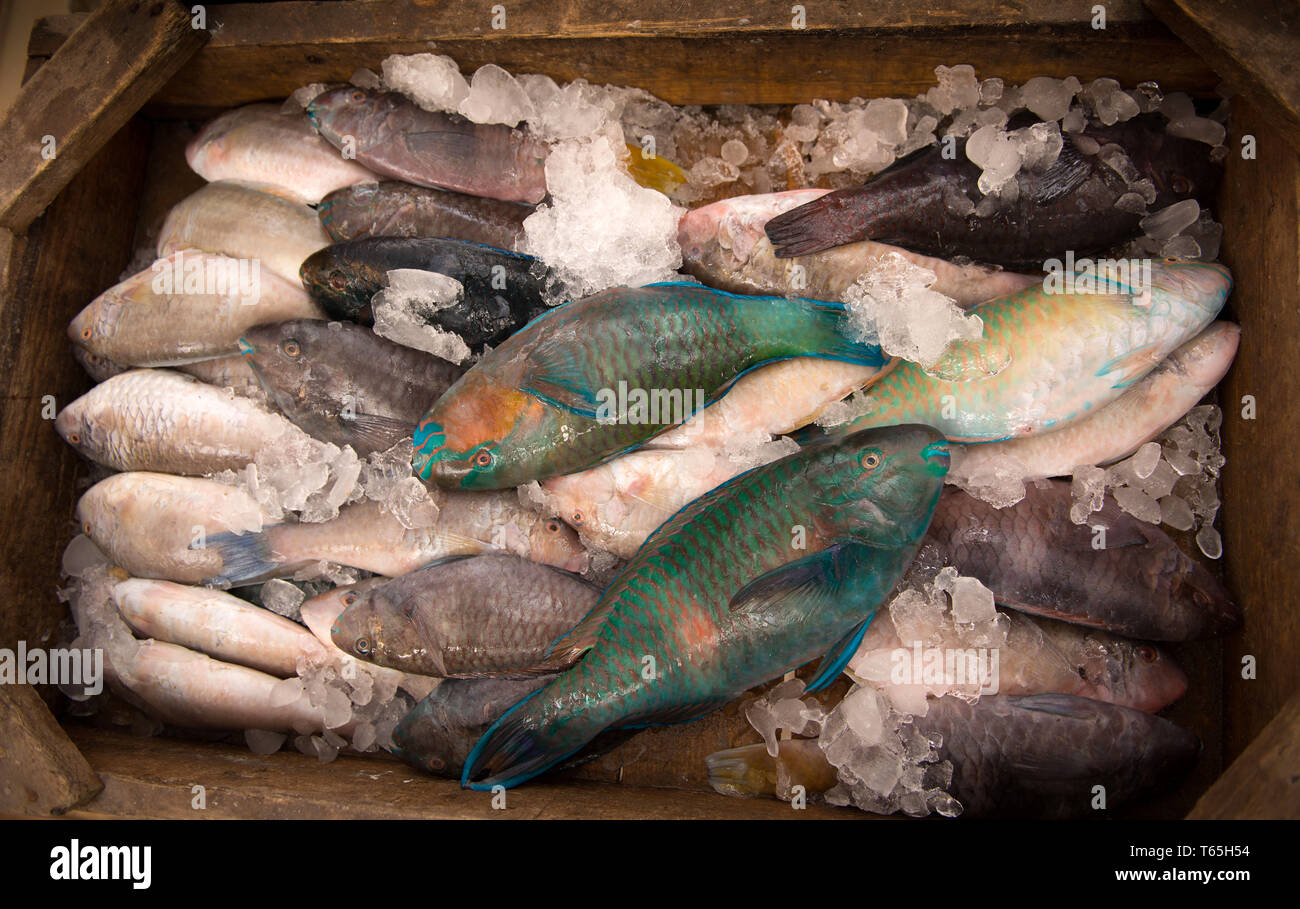 assortment of fresh fishes at fishmonger Stock Photo - Alamy