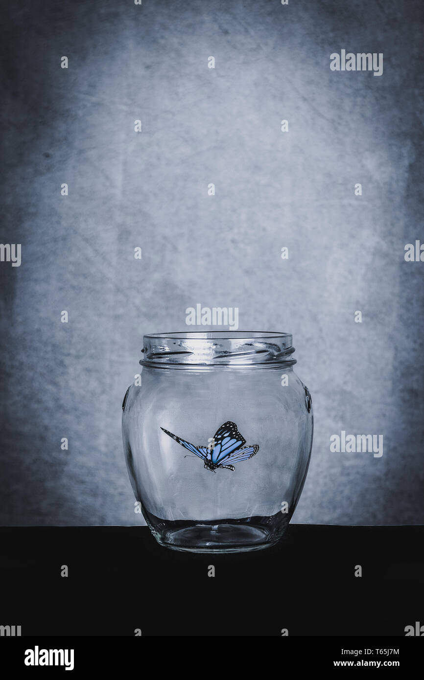 Blue butterfly in a glass jar Stock Photo - Alamy