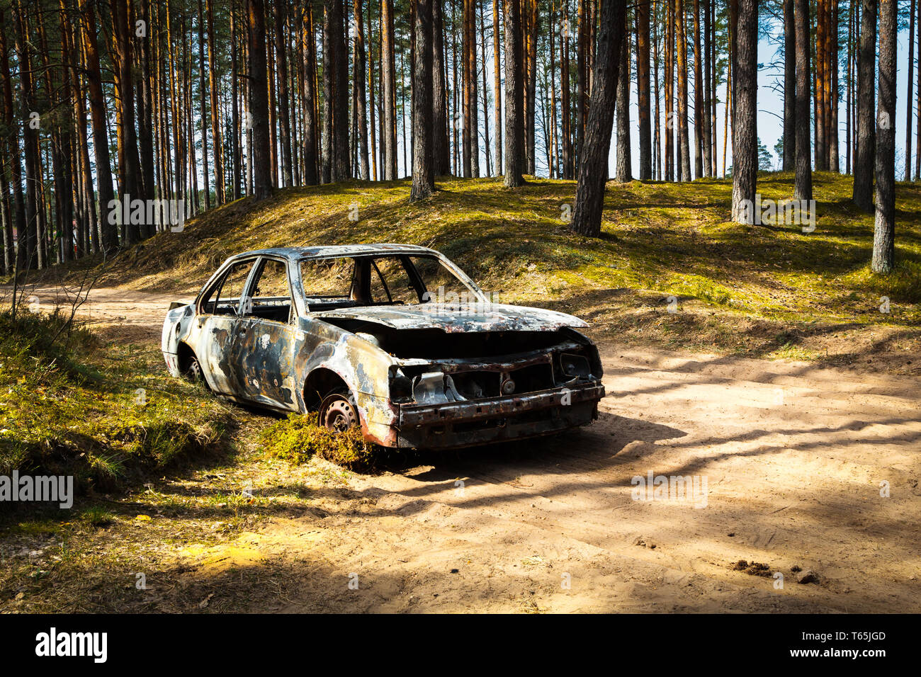 Fully burnt car in the forest in spring, accident background Stock ...