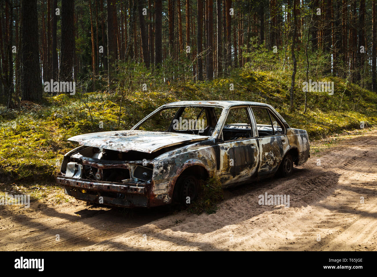 Fully burnt car in the forest in spring, accident background Stock ...
