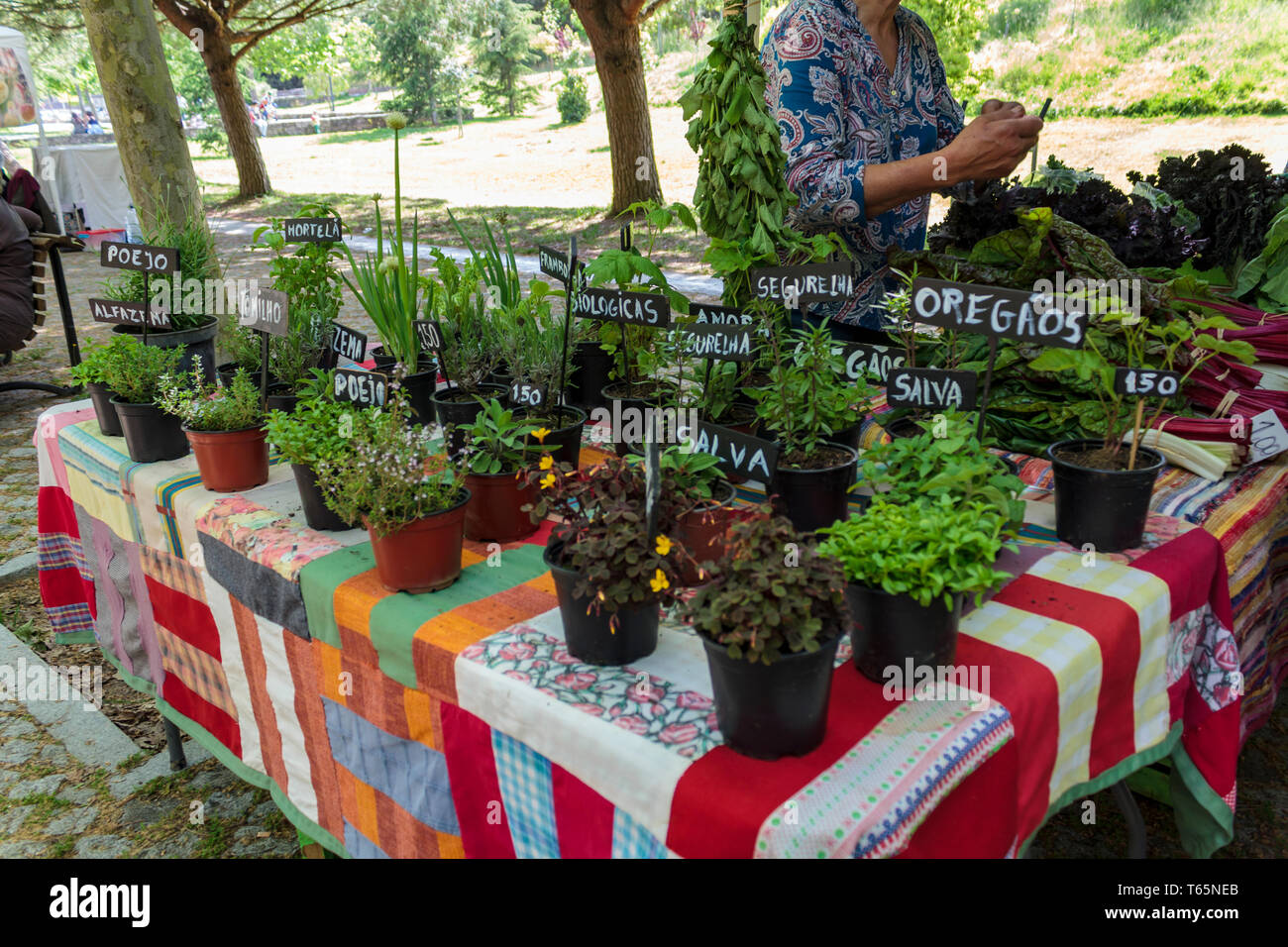 Farmers market stall with various kind of herbs on vases for sale ...