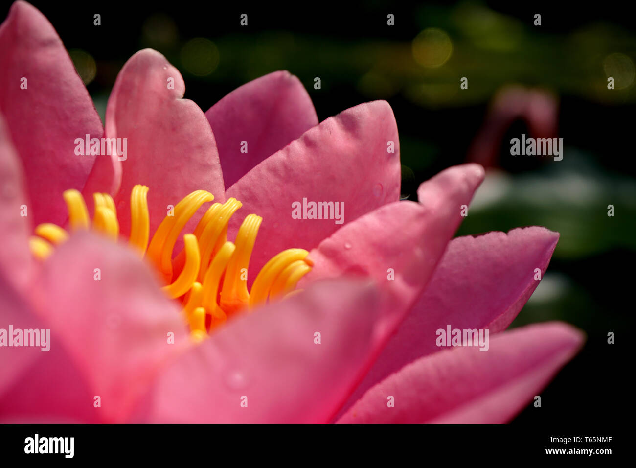 Life in southern germany hi-res stock photography and images - Alamy