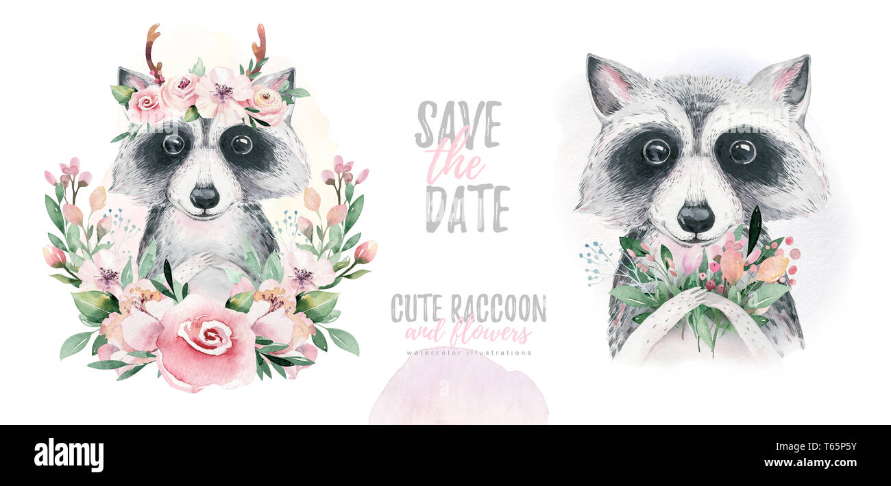 Cute Baby Raccoon Drawing