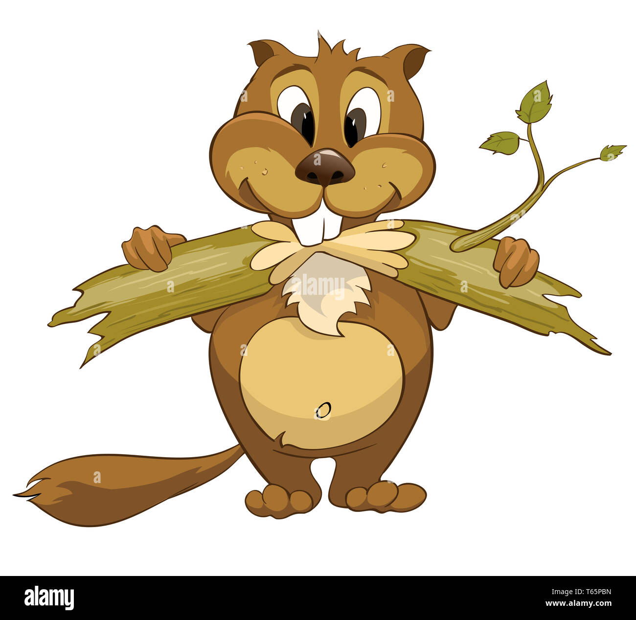 Young Beaver Stock Photos & Young Beaver Stock Images - Alamy