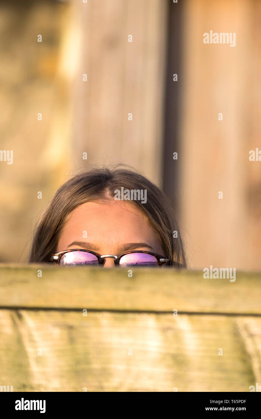 Peeking over the fence hi-res stock photography and images - Alamy