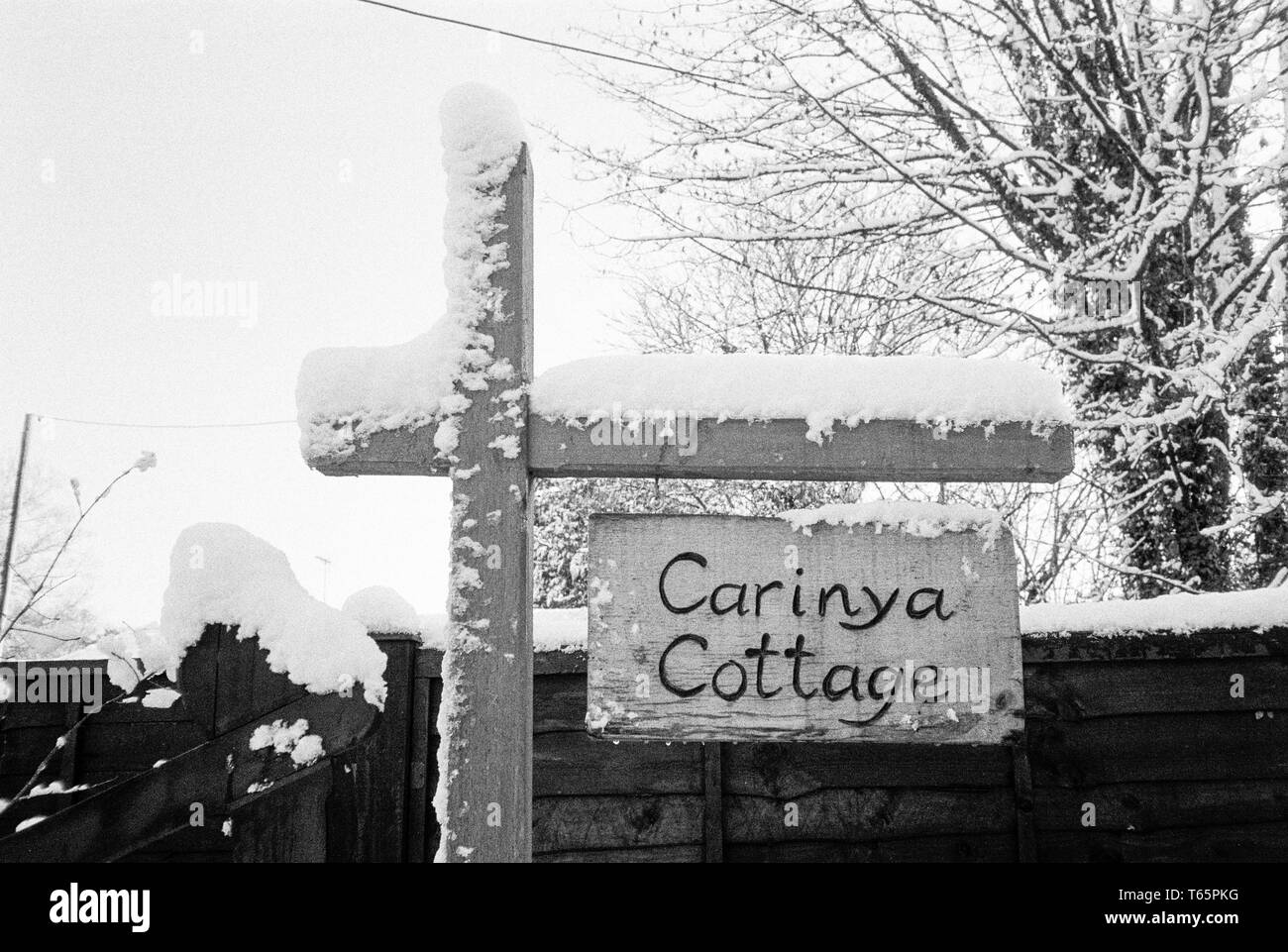 Carinya Cottage, Lymington Bottom Road, Medstead, Alton, Hampshire ...