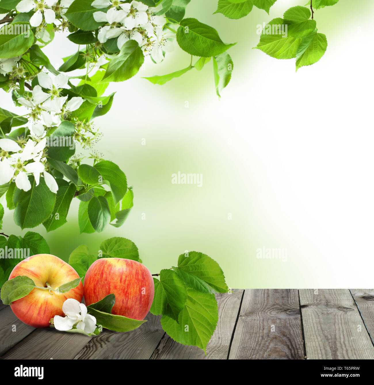 Apple Green Background Abstract