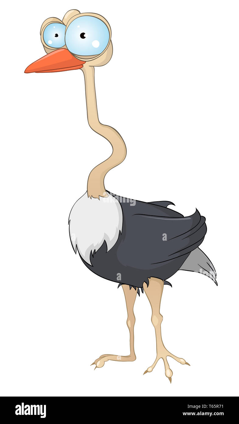 Ostrich cartoon hi-res stock photography and images - Alamy