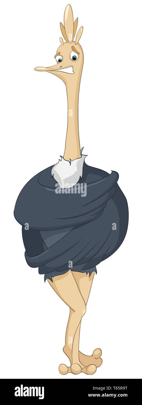 Ostrich cartoon hi-res stock photography and images - Alamy