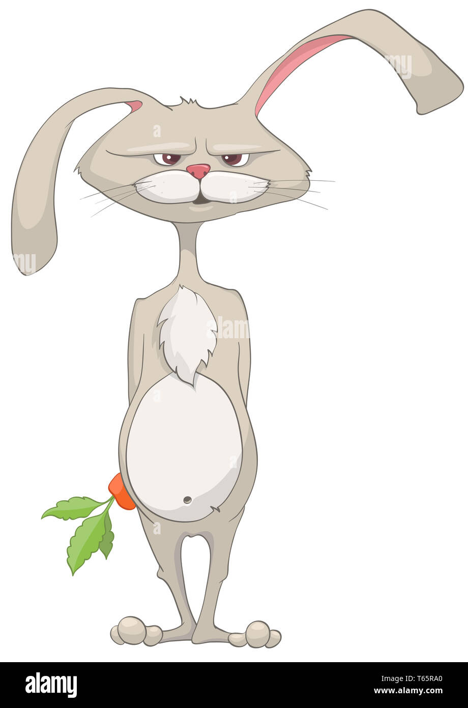 Angry and rabbit hi-res stock photography and images - Alamy