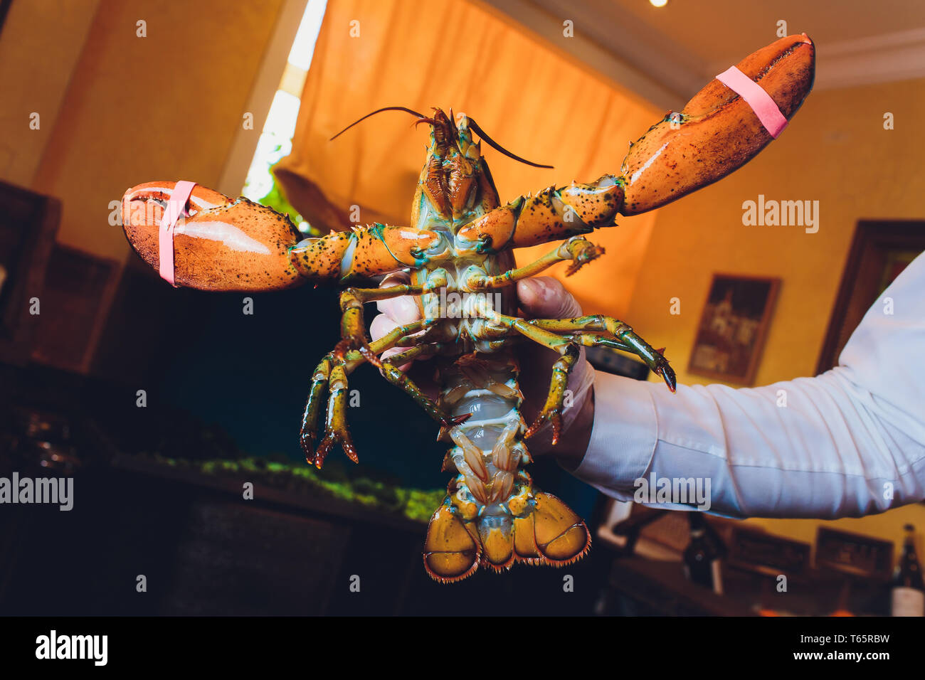 Lobster. A hand holding a giant lobster at a seafood buffet. Soft focus ...