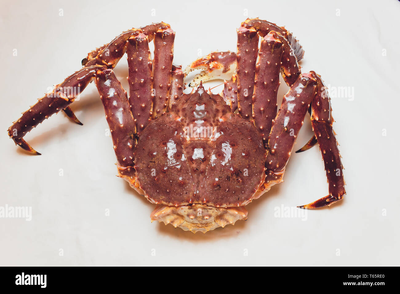 Live King Crab on white succinct background Stock Photo - Alamy