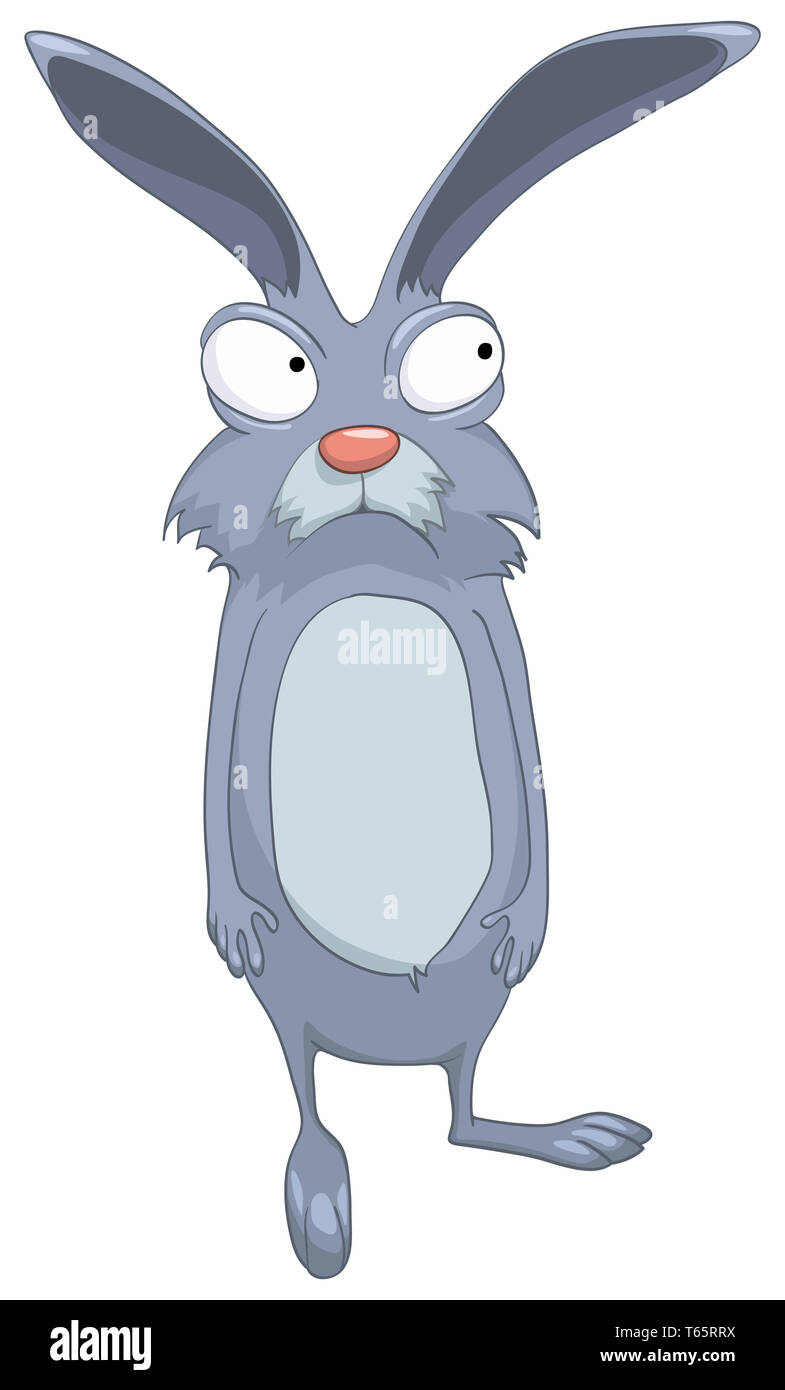 Angry and rabbit hi-res stock photography and images - Alamy