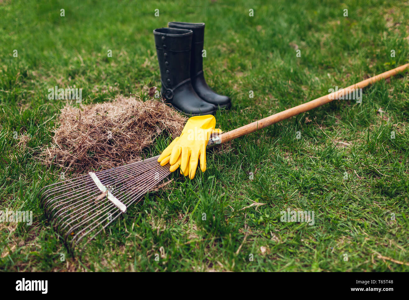 Lawn thatch rake hi-res stock photography and images - Alamy