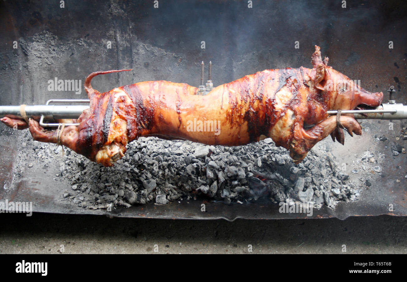 A piglet roasting at spit, traditional way, very tasty Stock Photo - Alamy