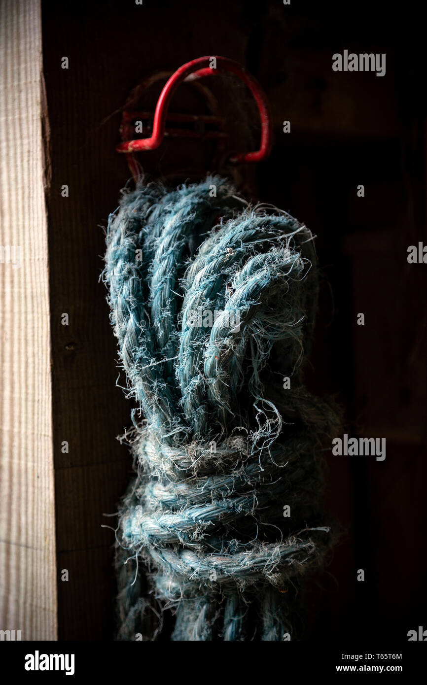 Tying tied hi-res stock photography and images - Alamy