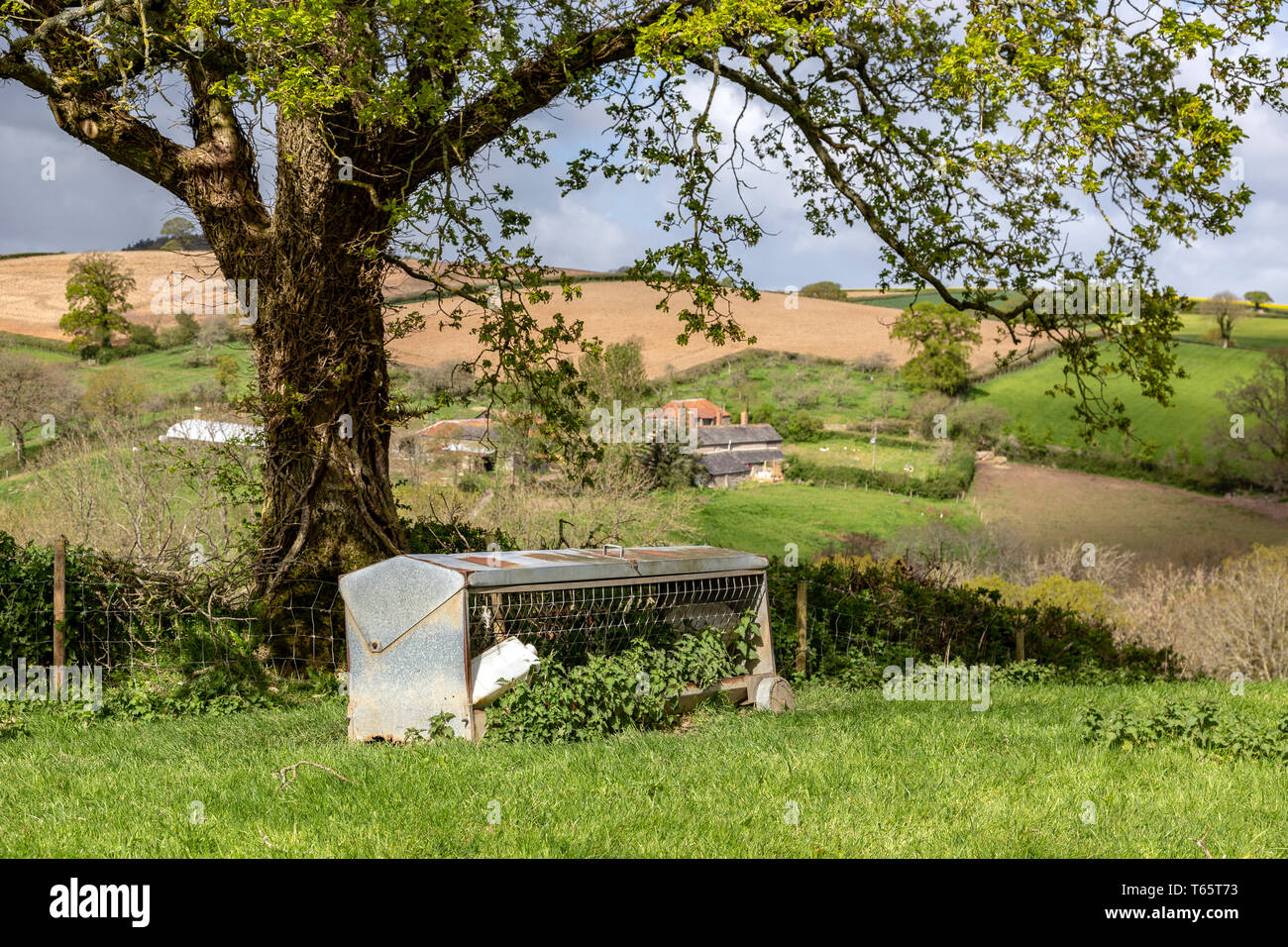 Conservation hedge hedges hi-res stock photography and images - Alamy