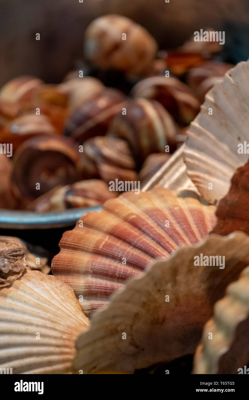 Display of shellfish, seen in a restaurant window in Brussels, Belgium ...