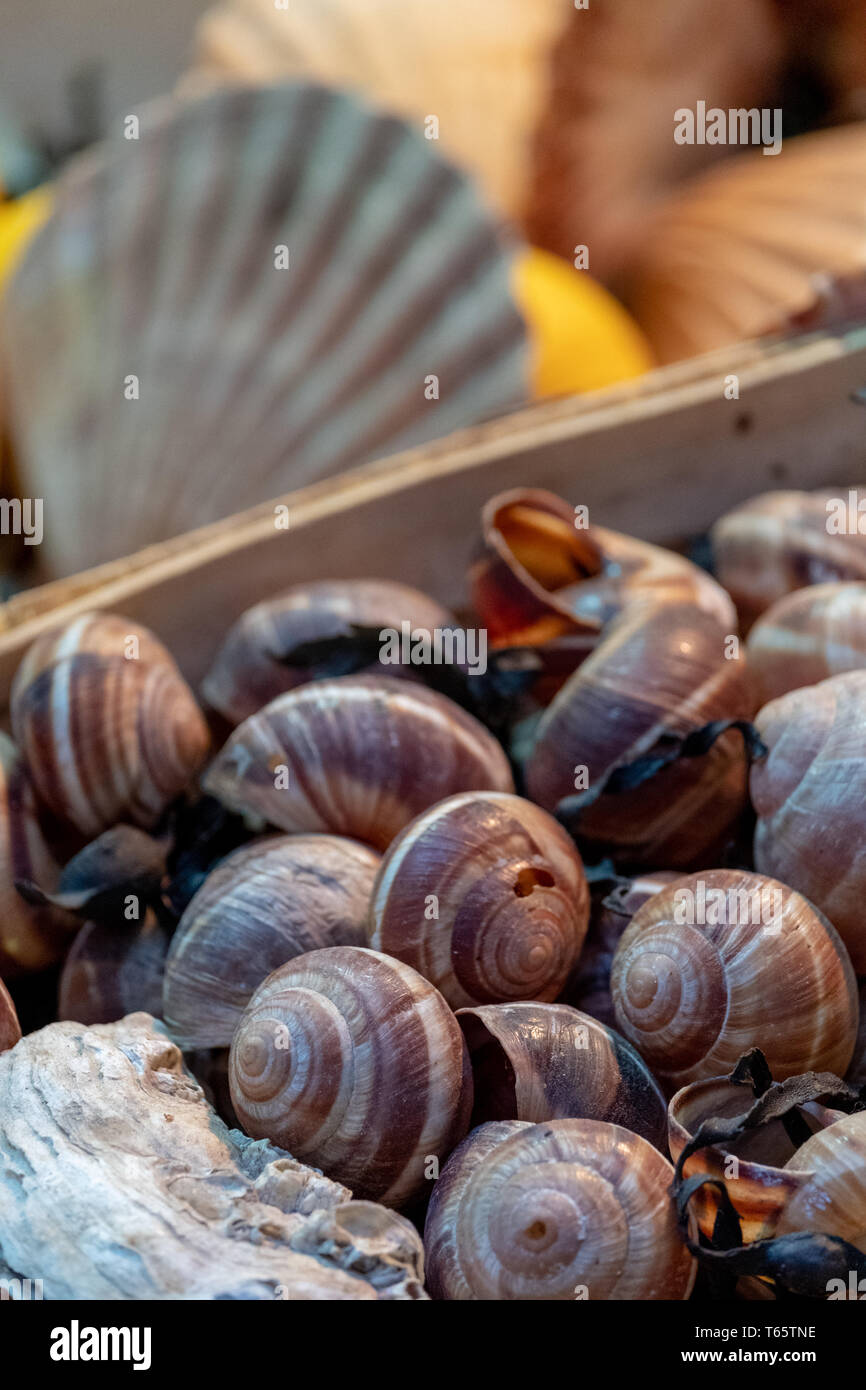 Display of shellfish, seen in a restaurant window in Brussels, Belgium ...